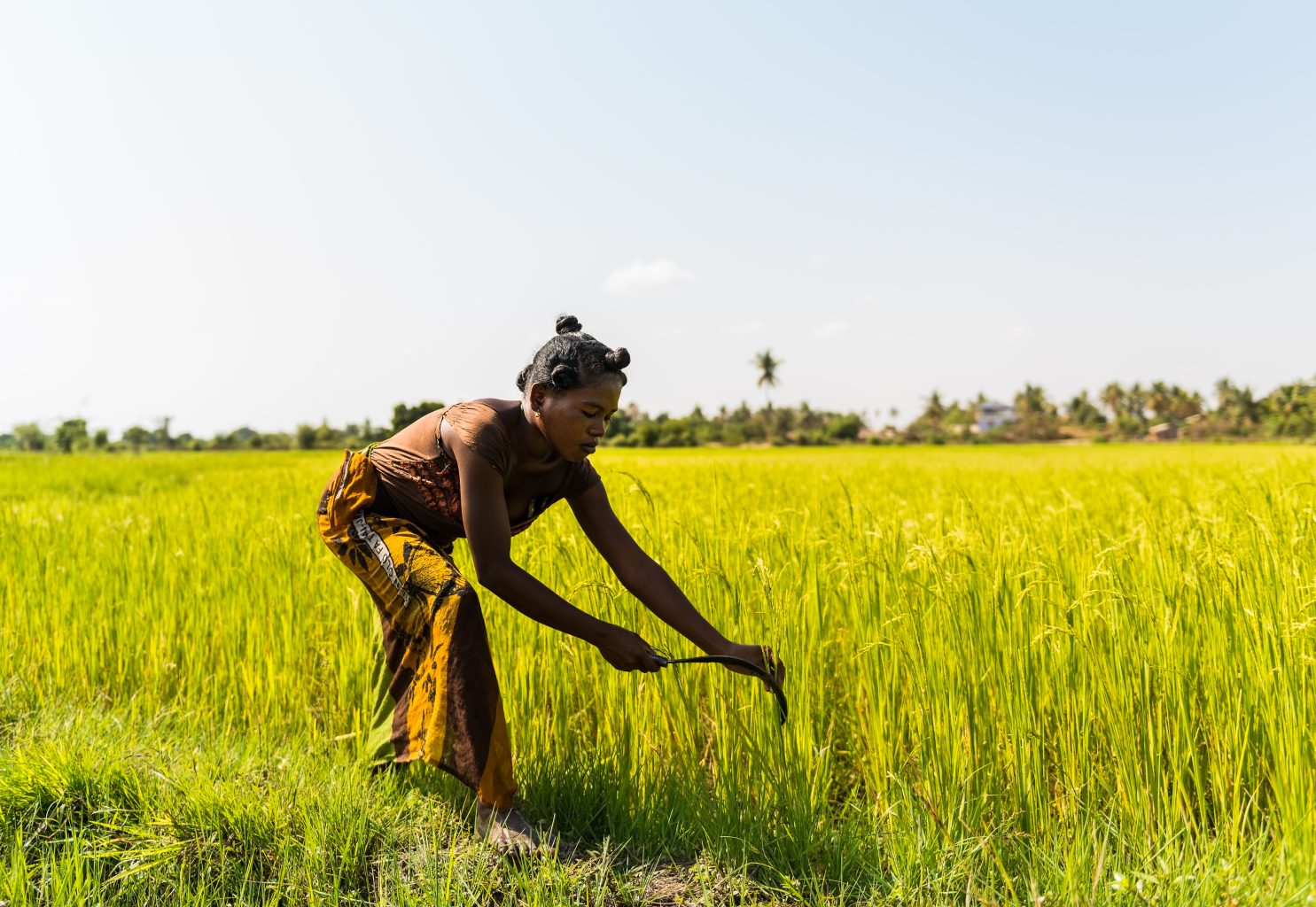 Alliance to End Hunger Commends the U.S. House of Representatives for ...