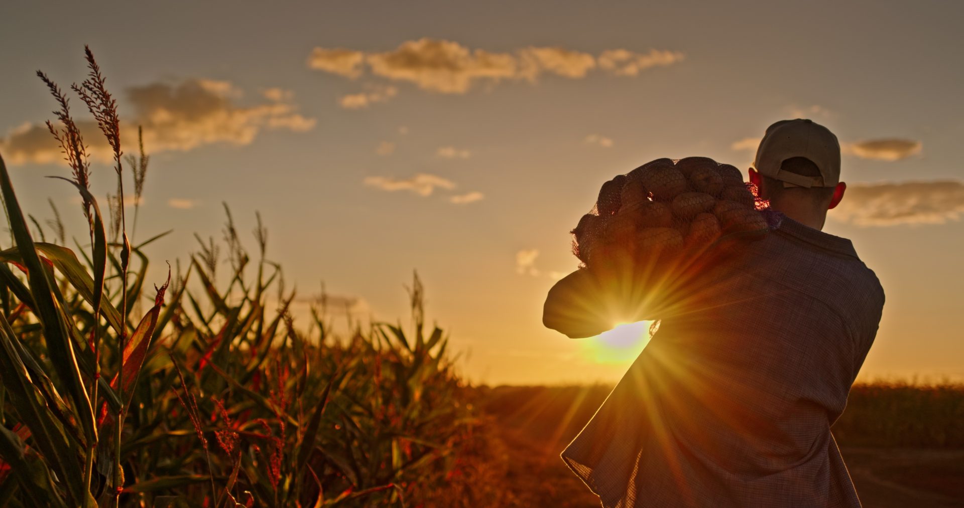 Alliance to End Hunger - Working to End Hunger in America & Worldwide